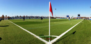 Choosing the Best Grass Seeds for Football and Soccer Stadiums – Sport ...