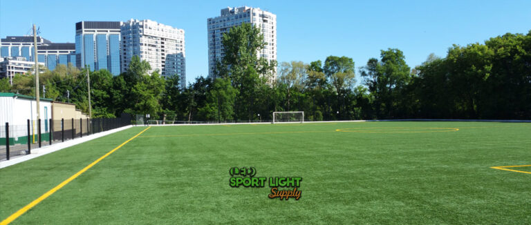 Choosing the Best Grass Seeds for Football and Soccer Stadiums – Sport ...